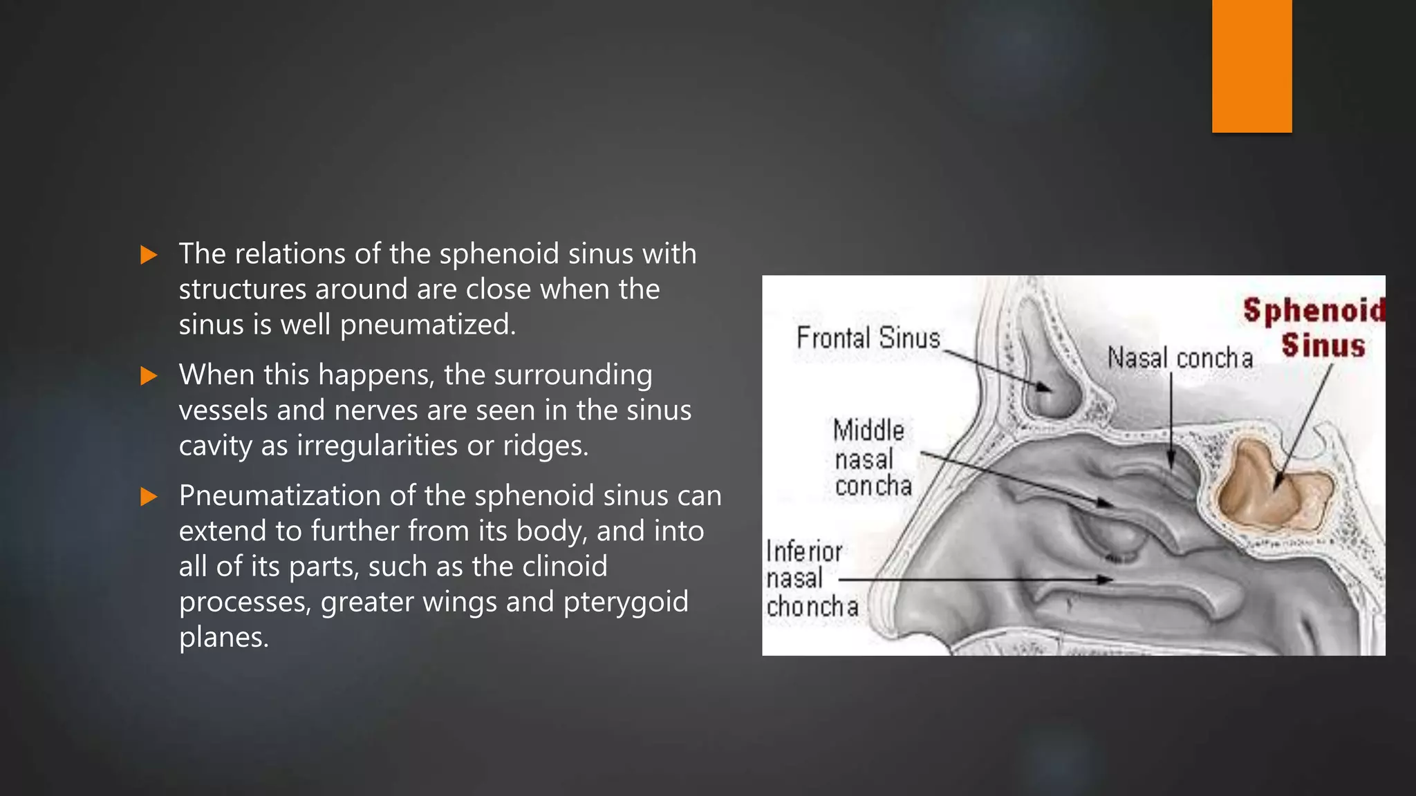 Nasal Cavity and Sphenoid Sinus Anatomy | PPTX