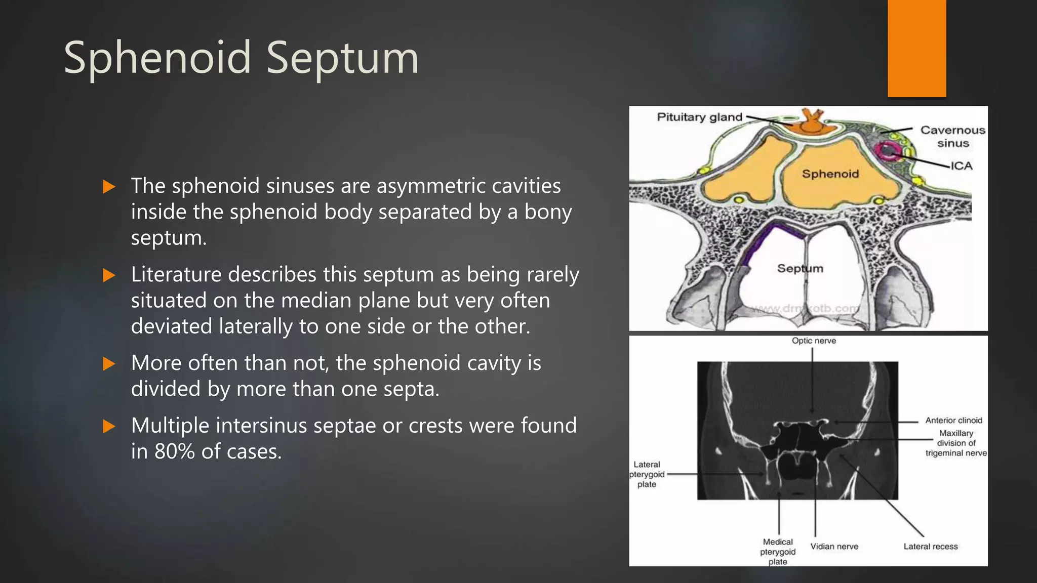 Nasal Cavity and Sphenoid Sinus Anatomy | PPTX
