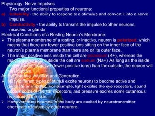 Anatomy-Nervous-System Anatomy and Physiology updated.pptx
