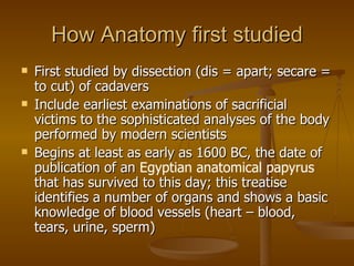 Anatomy Objective 1, Chapter 1 | PPT
