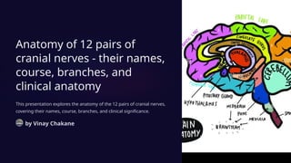 Anatomy-of-12-pairs-of cranialnerve.pptx