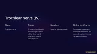 Anatomy-of-12-pairs-of cranialnerve.pptx