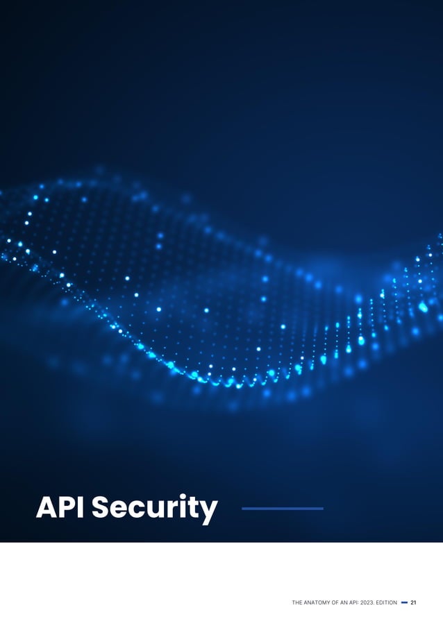 The Anatomy of an API: 2023 Edition | PDF