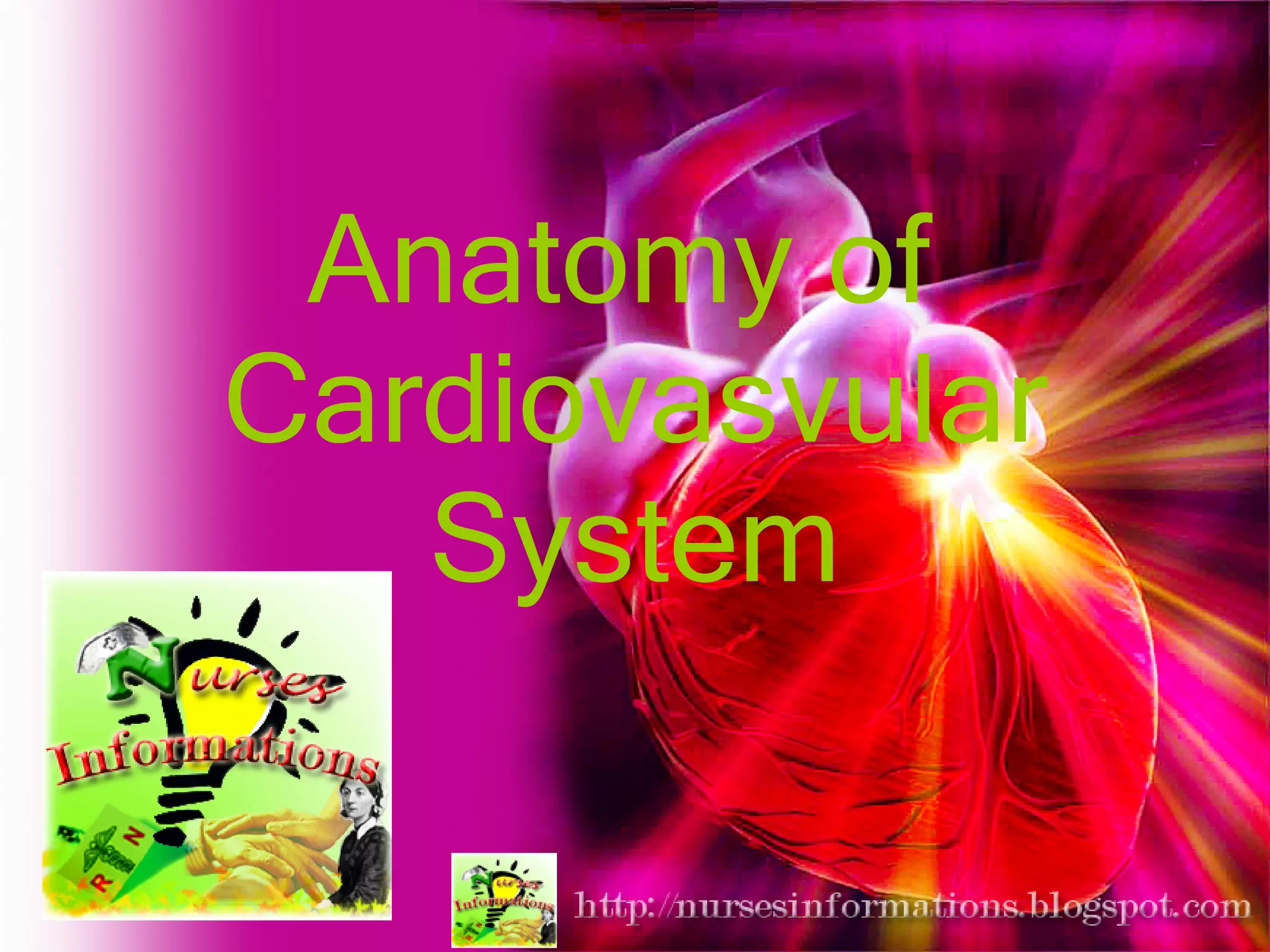 Anatomy Of Cardiovasvular System | PPT
