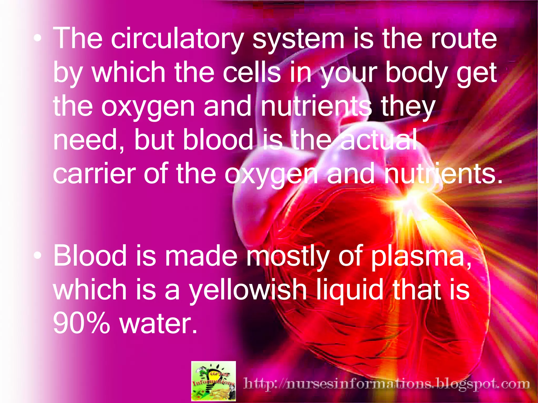 Anatomy Of Cardiovasvular System | PPT