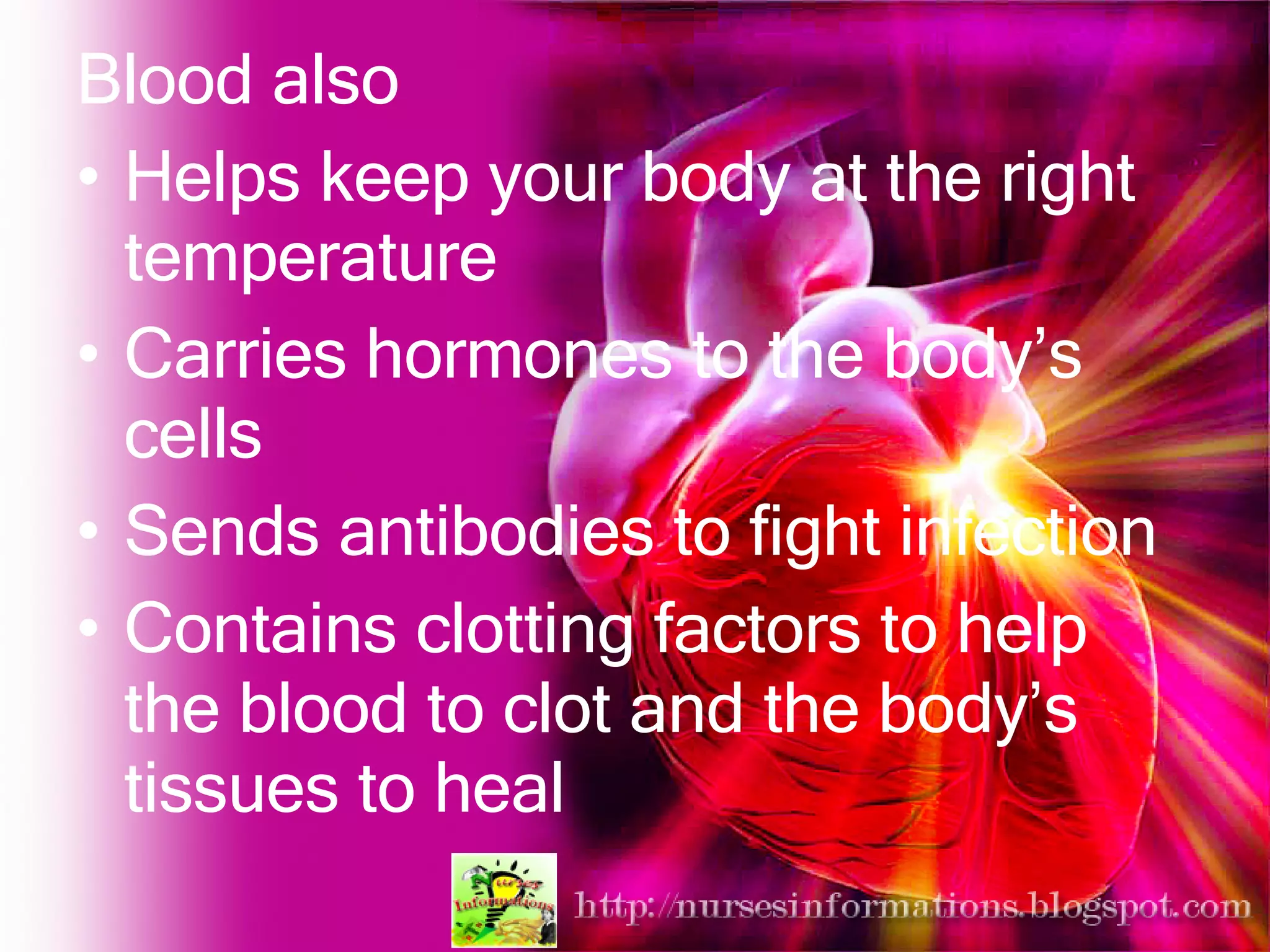 Anatomy Of Cardiovasvular System | PPT