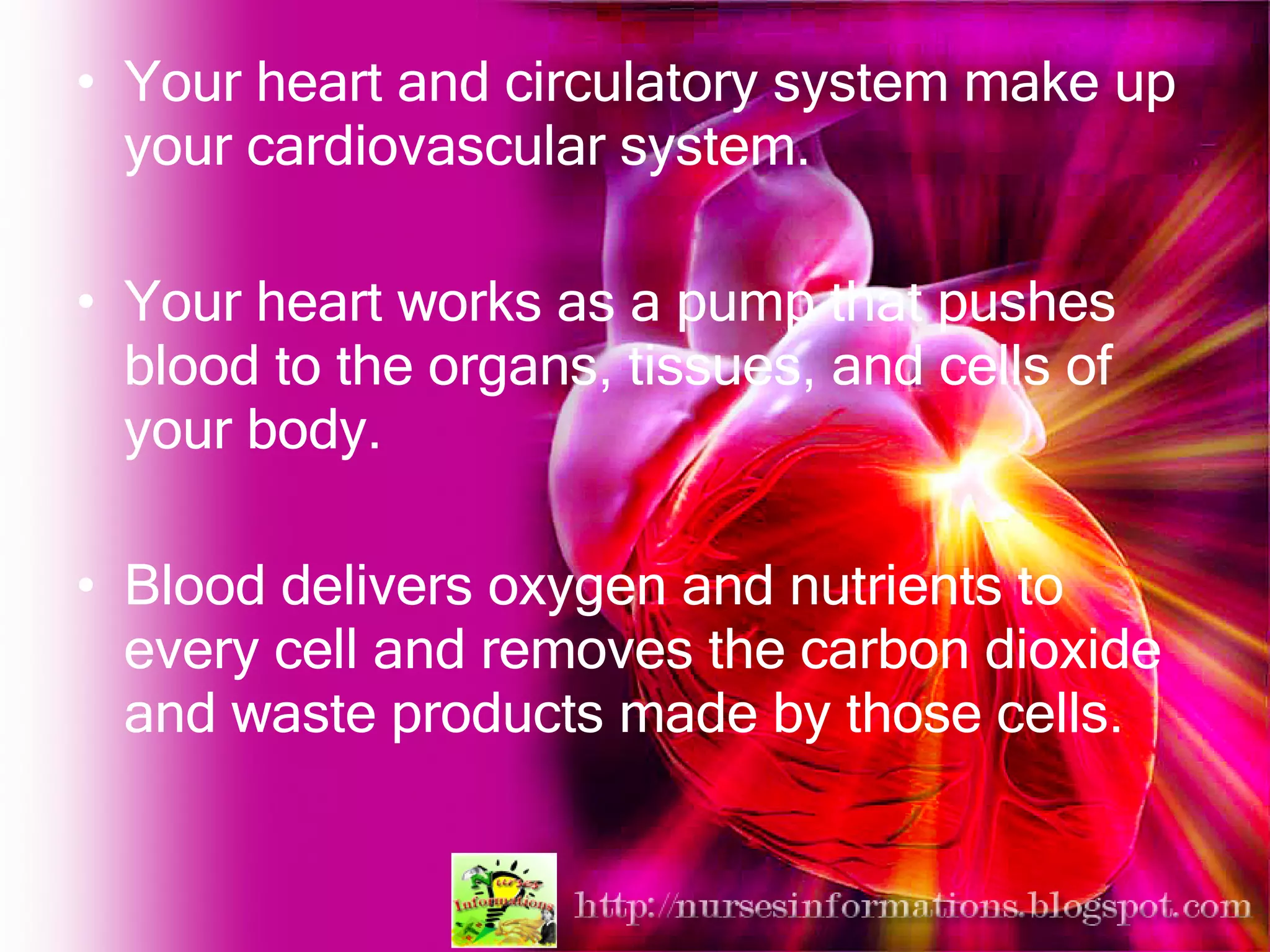 Anatomy Of Cardiovasvular System | PPT
