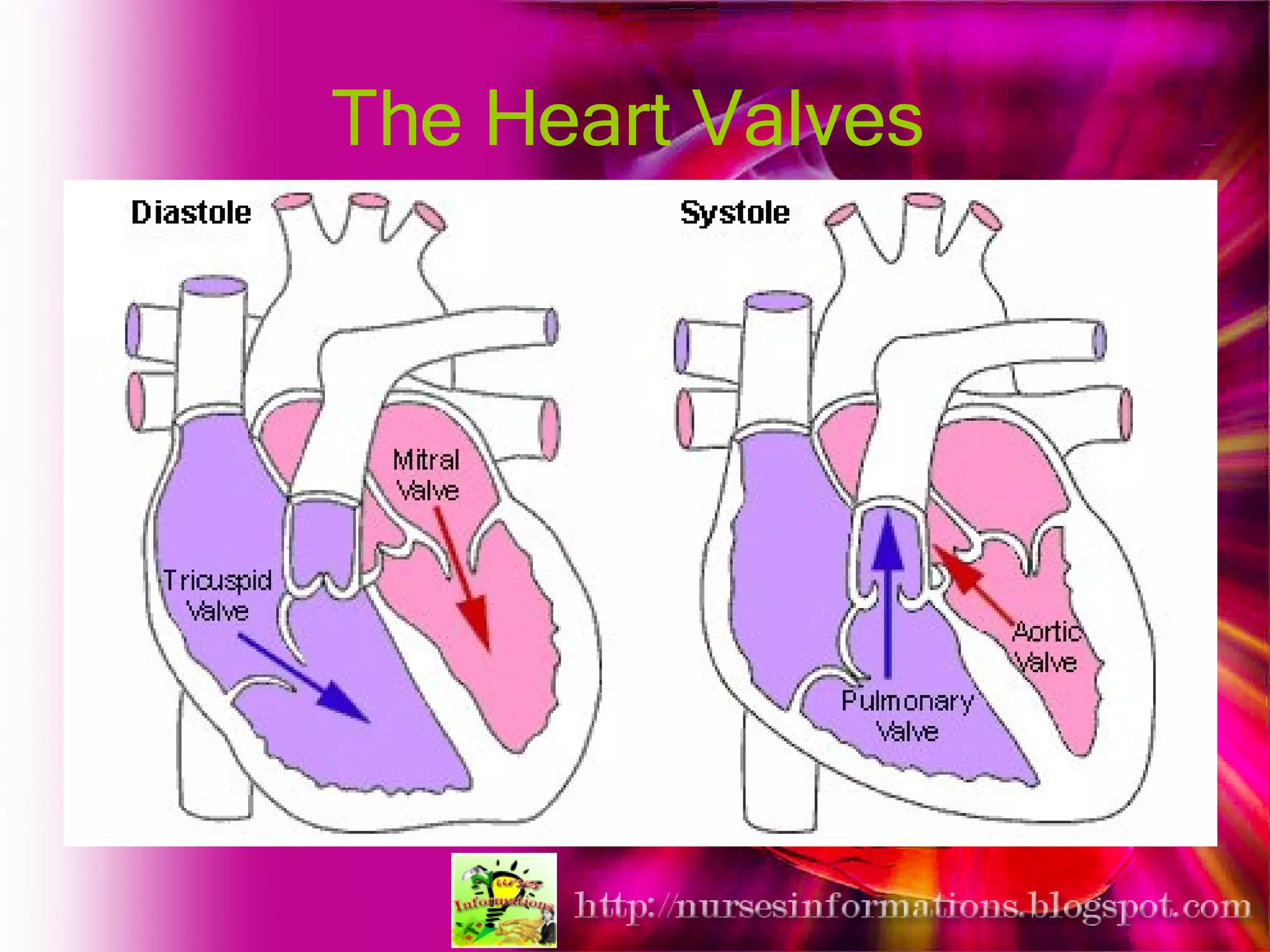 Anatomy Of Cardiovasvular System | PPT