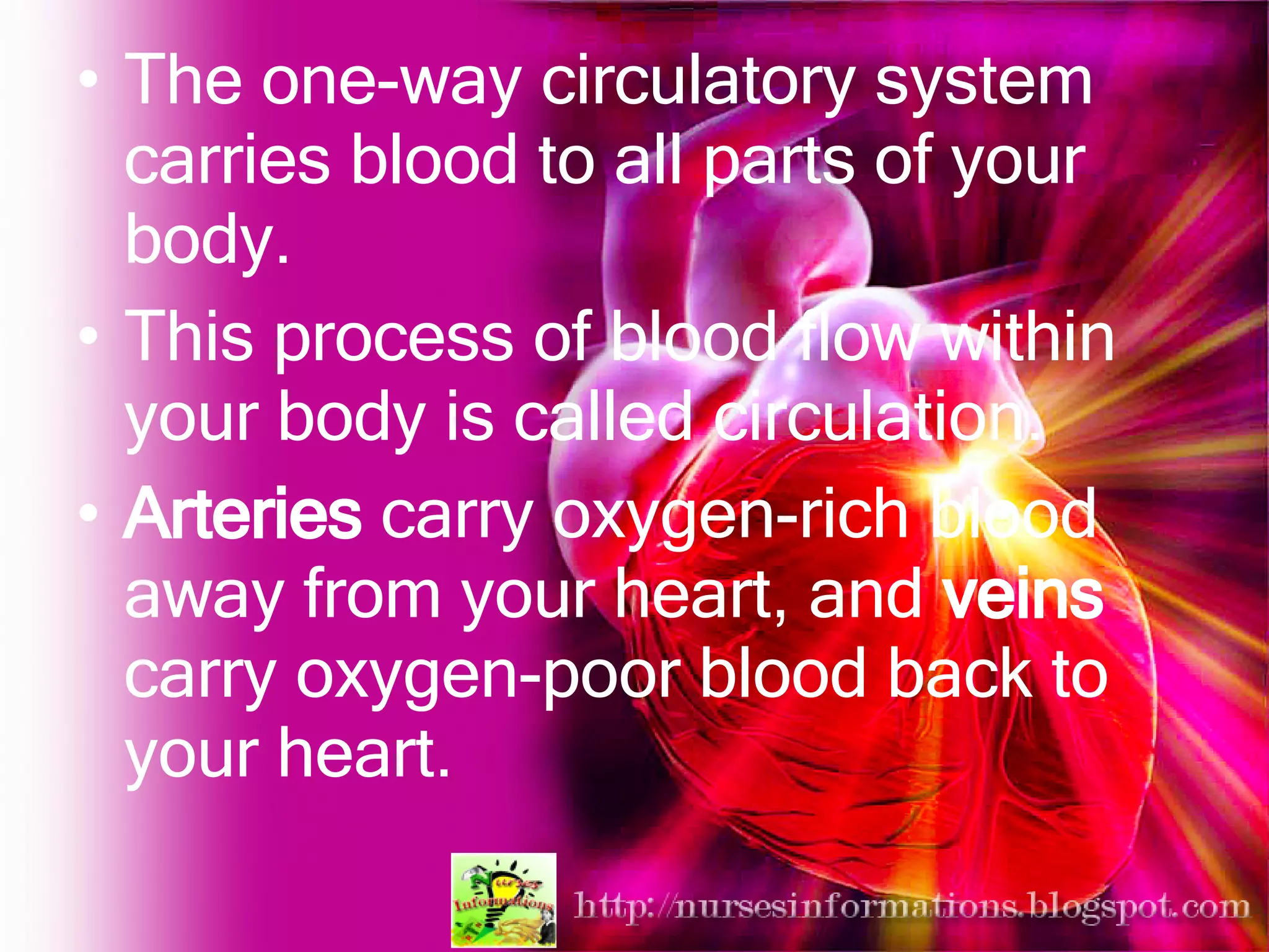 Anatomy Of Cardiovasvular System | PPT