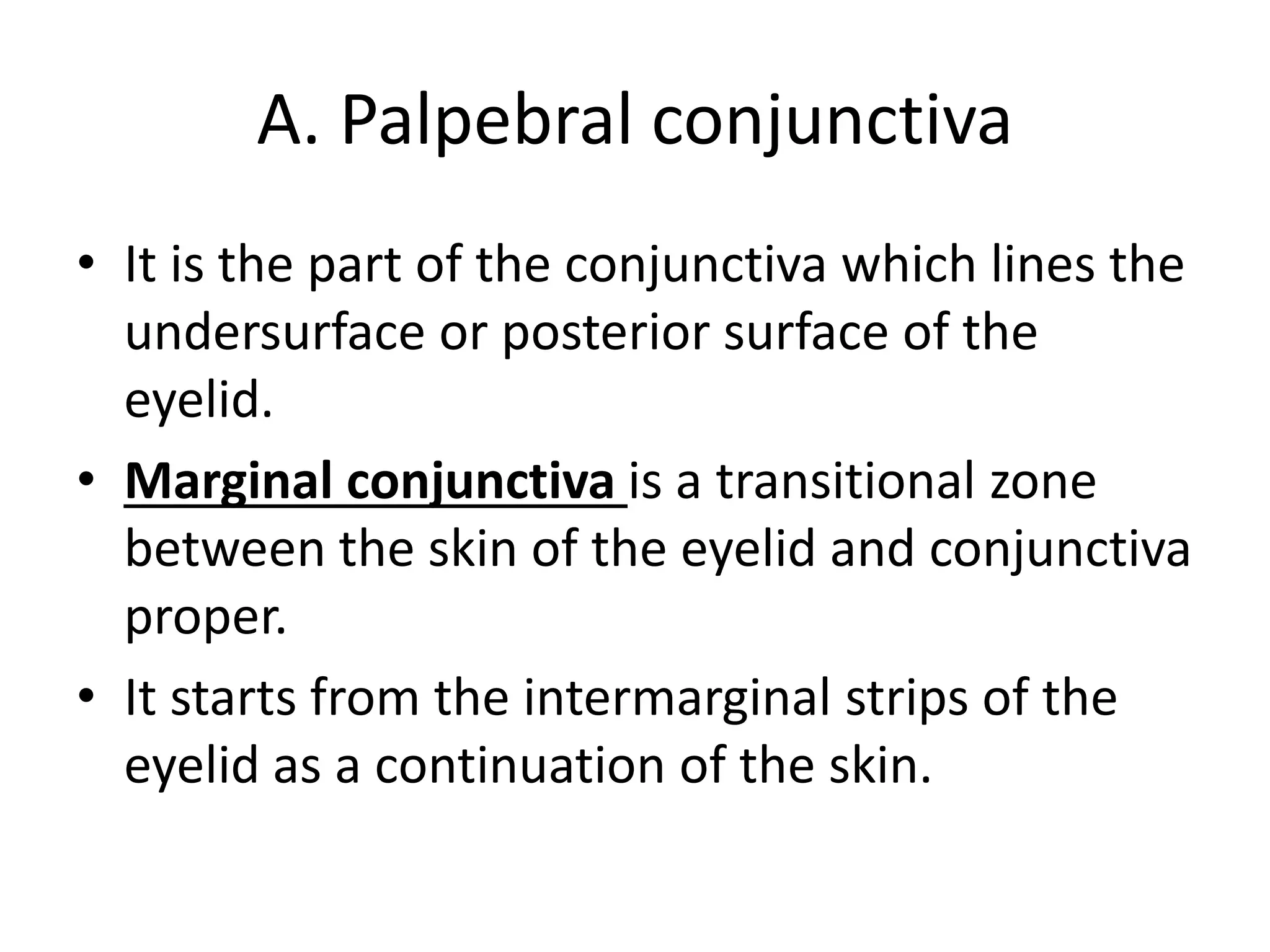 Anatomy of conjunctiva its layers and clinical significance | PDF | Eye ...