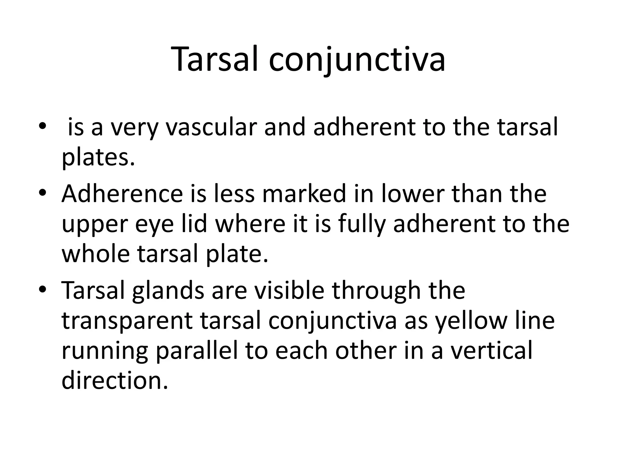 Anatomy of conjunctiva its layers and clinical significance | PDF