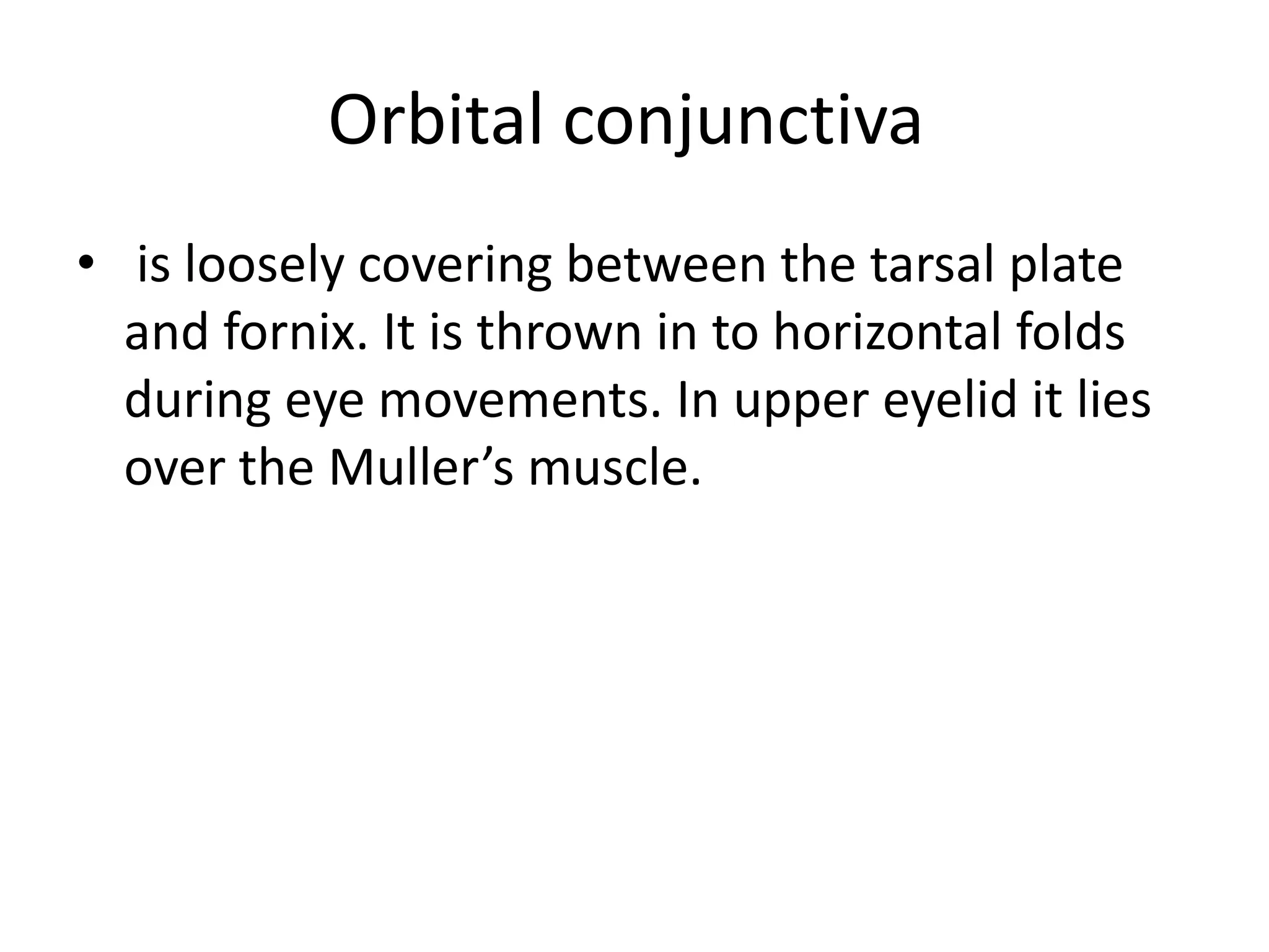 Anatomy of conjunctiva its layers and clinical significance | PDF | Eye ...