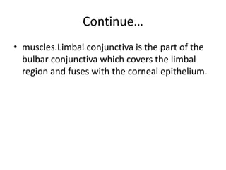 Anatomy of conjunctiva its layers and clinical significance | PDF | Eye ...