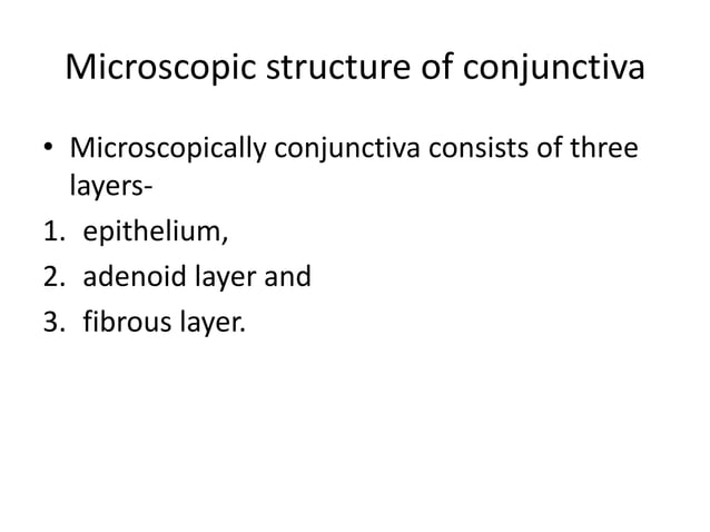 Anatomy of conjunctiva its layers and clinical significance | PPT