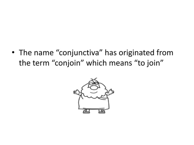 Anatomy of conjunctiva its layers and clinical significance | PPT