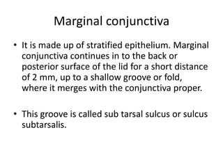 Anatomy of conjunctiva its layers and clinical significance | PDF