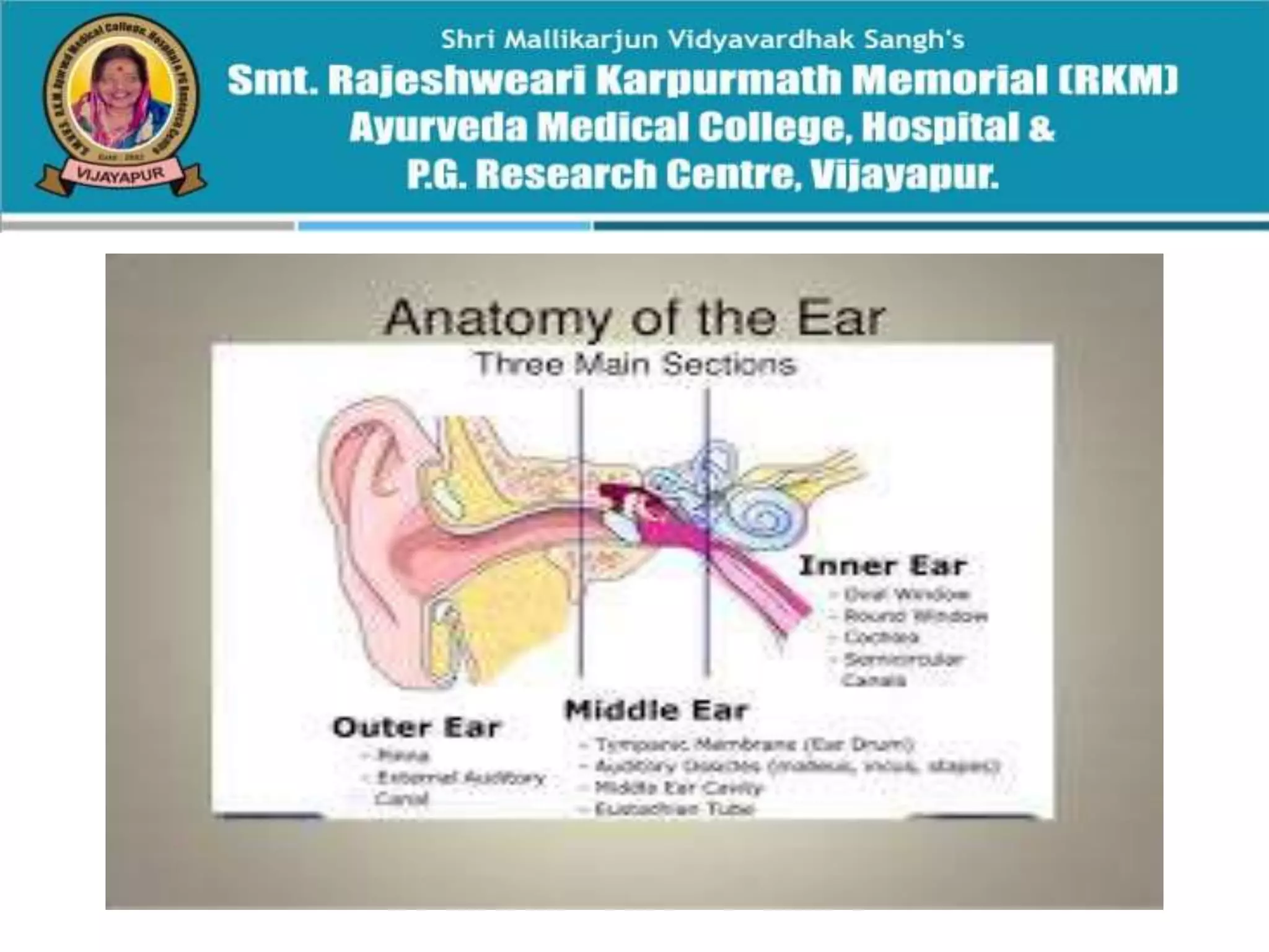 Ear functions | PPT