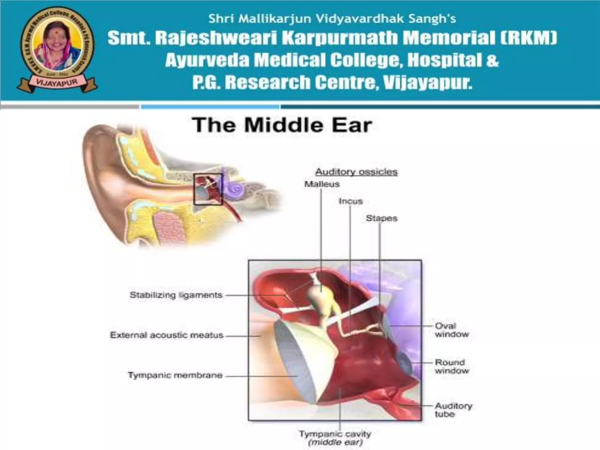 Ear functions | PPT