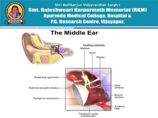 Ear functions | PPT