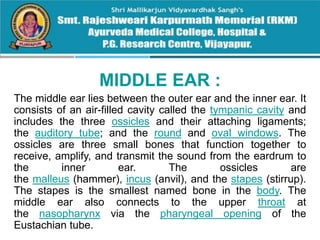 Ear functions | PPT