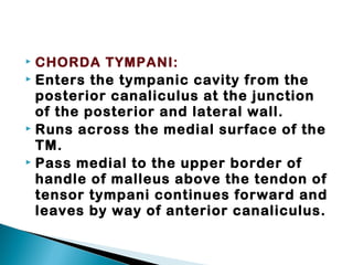 Anatomy Physiology of ear | PPT