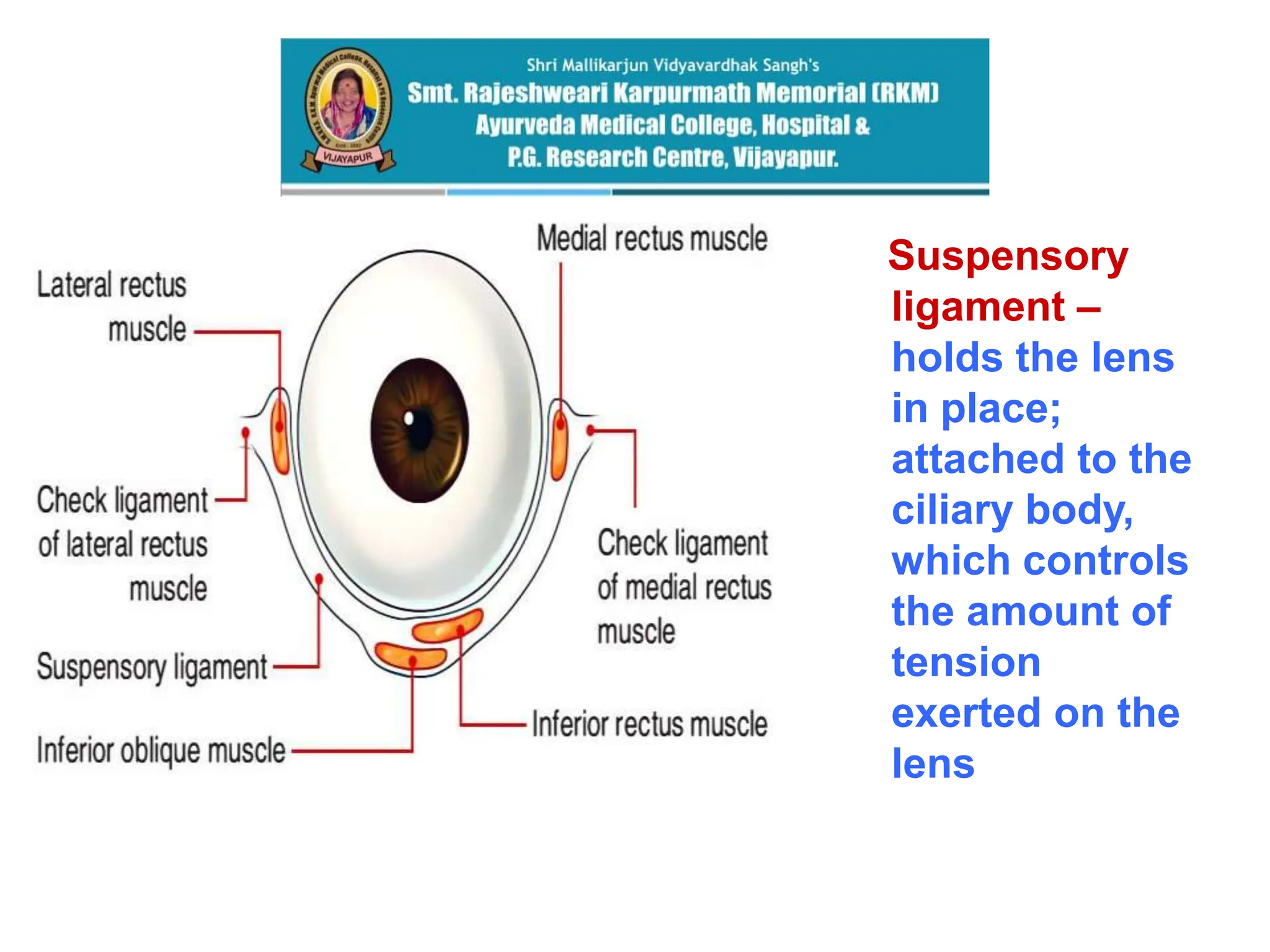 Anatomy- of-EYE-.ppt