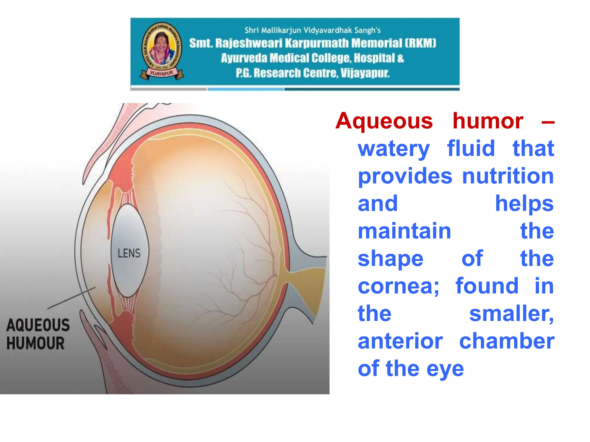 Anatomy- of-EYE-.ppt