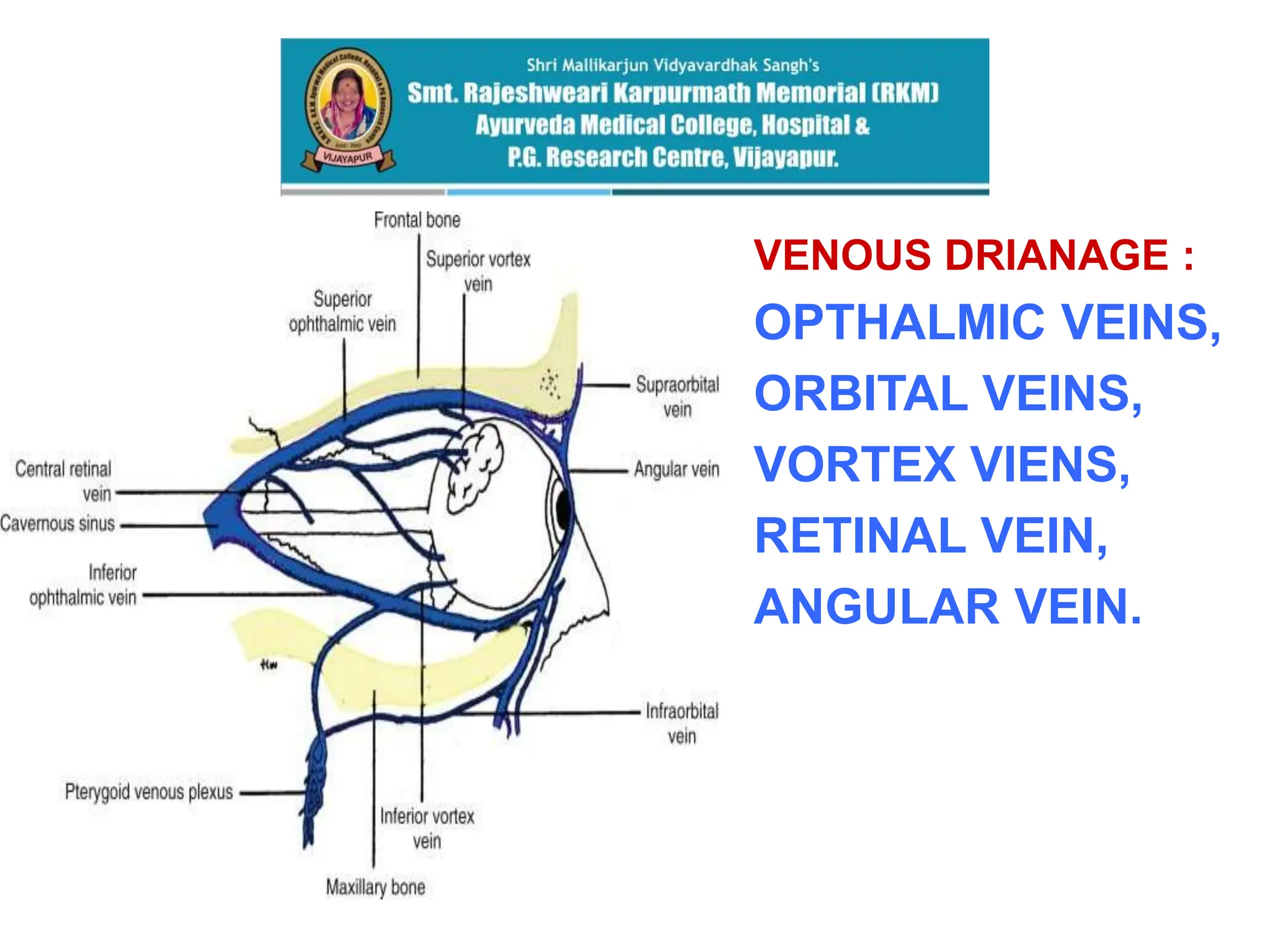 Anatomy- of-EYE-.ppt