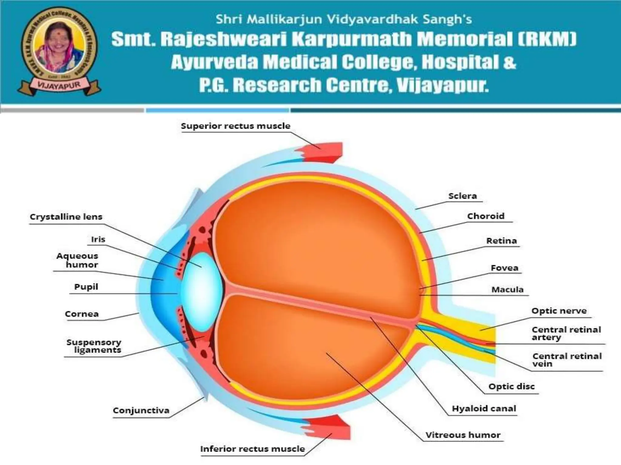 Anatomy- of-EYE-.ppt