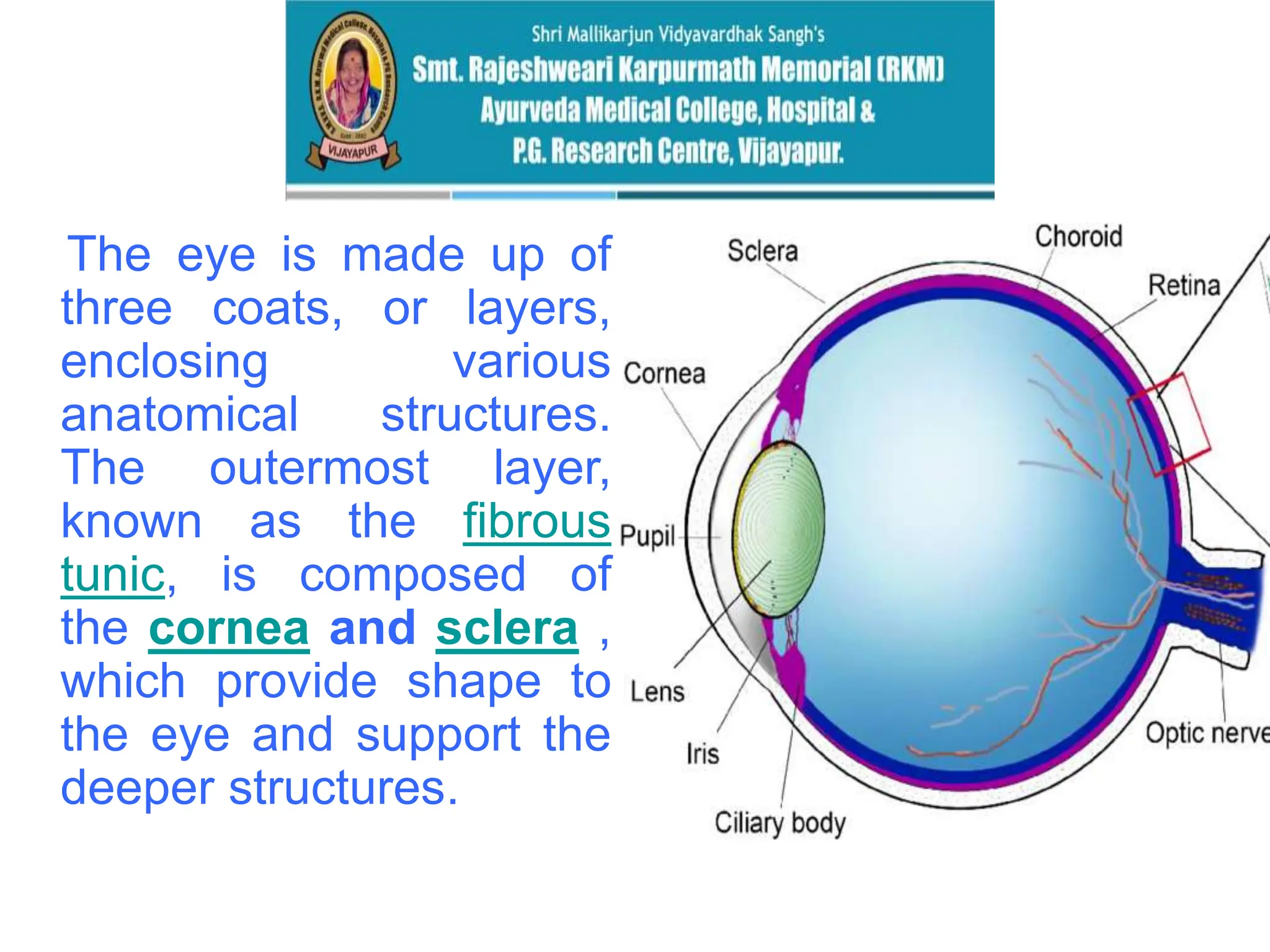 Anatomy- of-EYE-.ppt