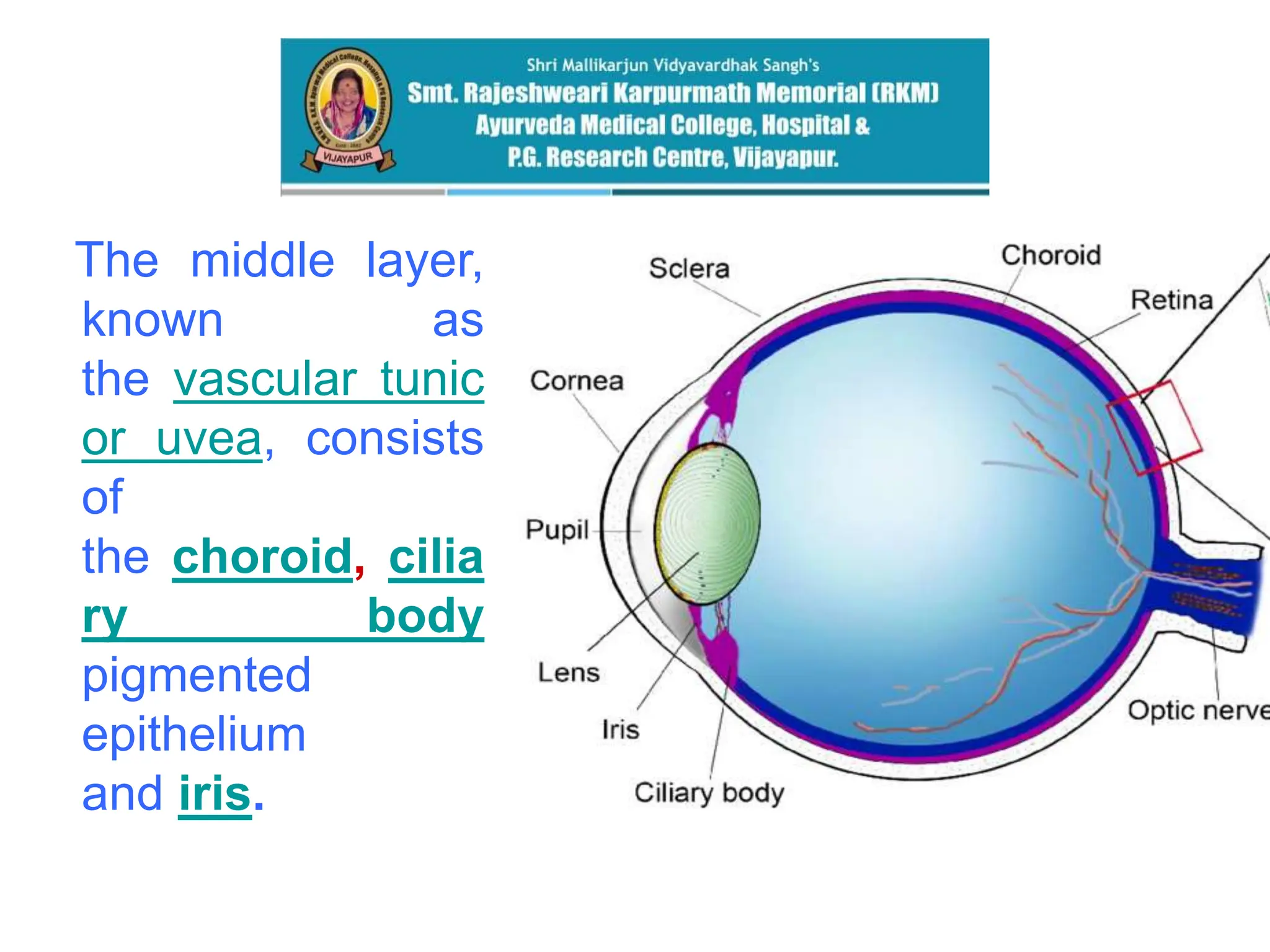 Anatomy- of-EYE-.ppt
