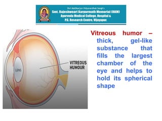 Anatomy- of-EYE-.ppt