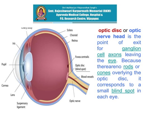 Anatomy- of-EYE-.ppt