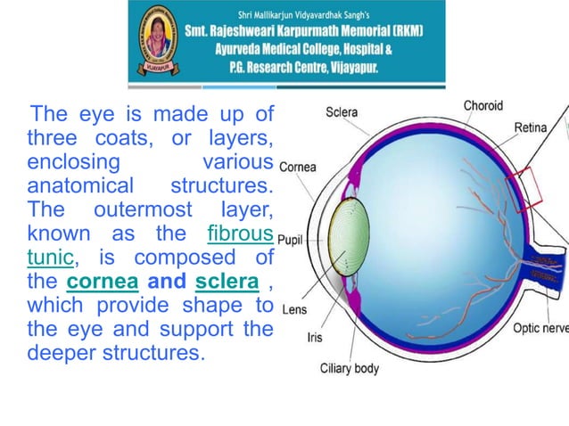 Anatomy- of-EYE-.ppt