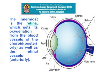 Anatomy- of-EYE-.ppt