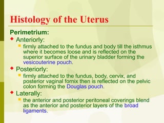 Anatomy-Of-Female-Genital-System-Dr.Osman (2).pptx