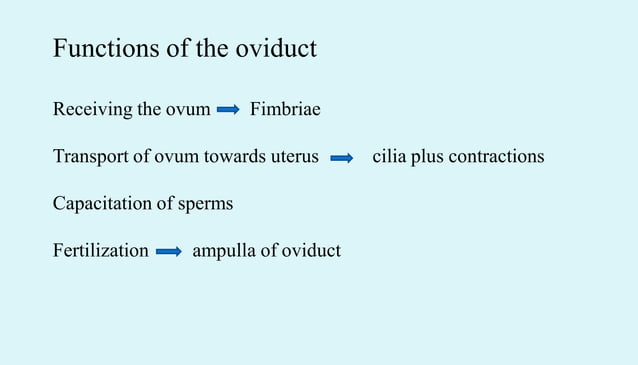 ANATOMY-OF-FEMALE-REPRODUCTIVE-ORGANS-IN-DOMESTIC-ANIMALS-1.pdf