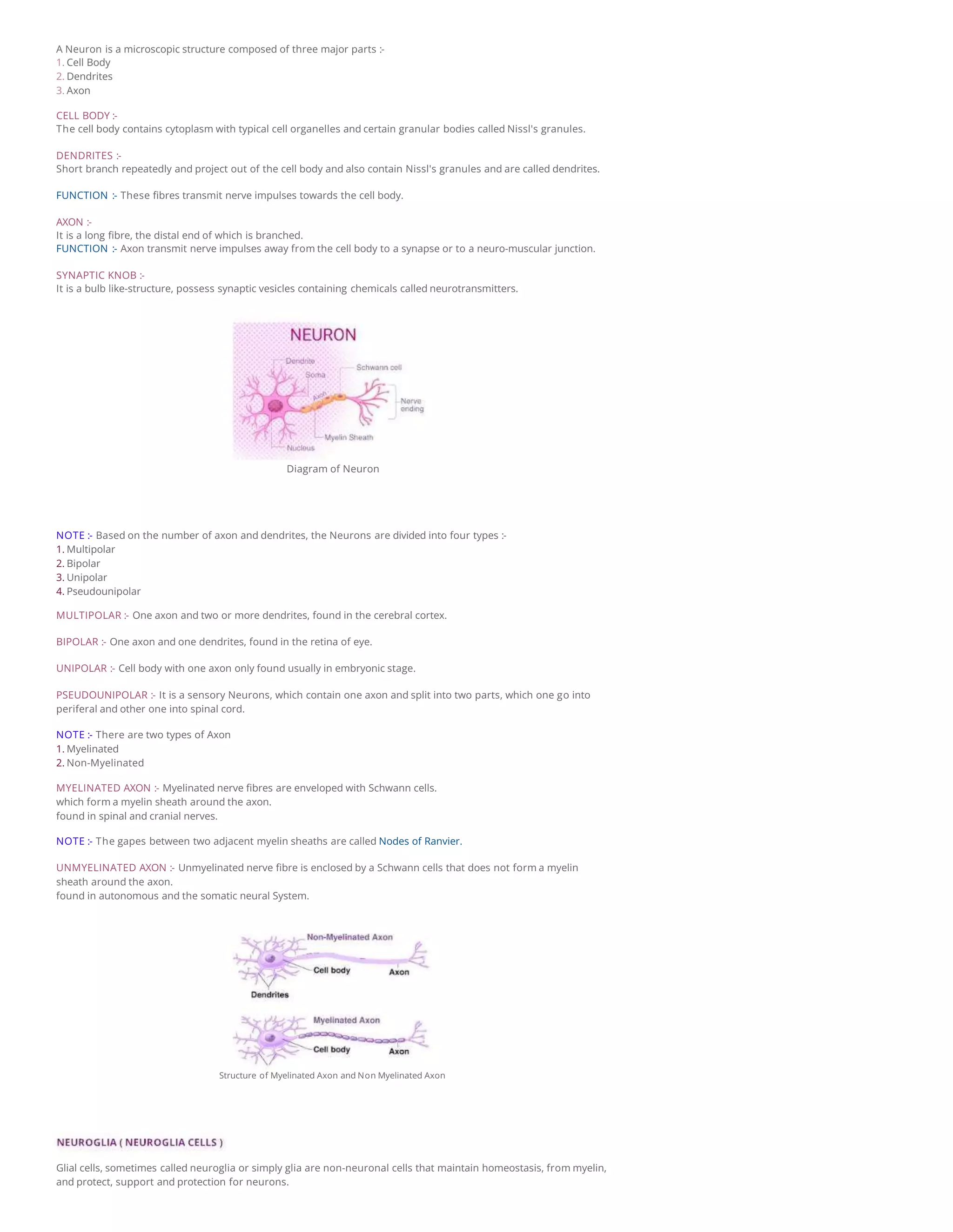 anatomy-of-human-brain-parts-functions.pdf.pptx