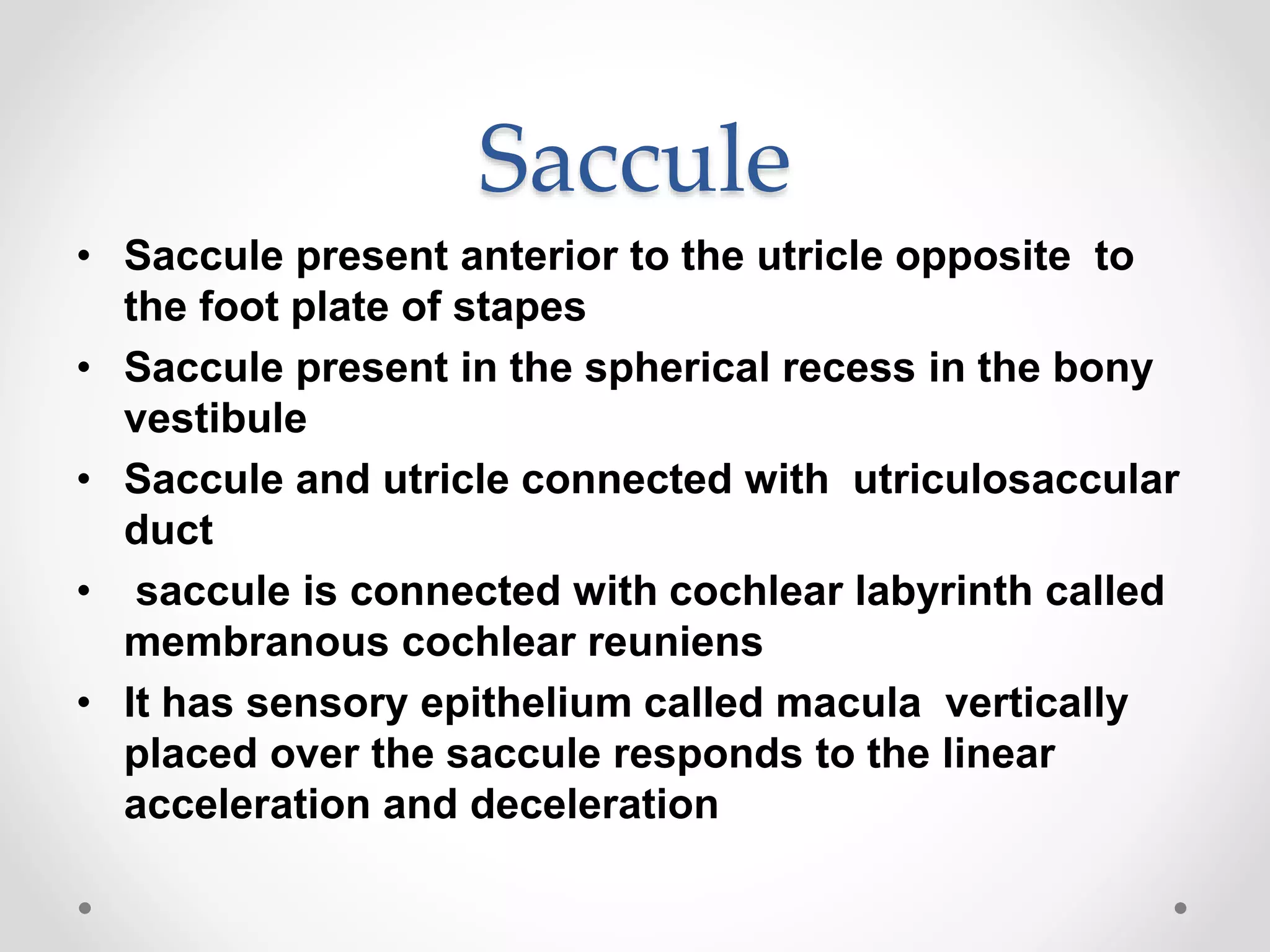 Anatomy of Inner ear | PPTX
