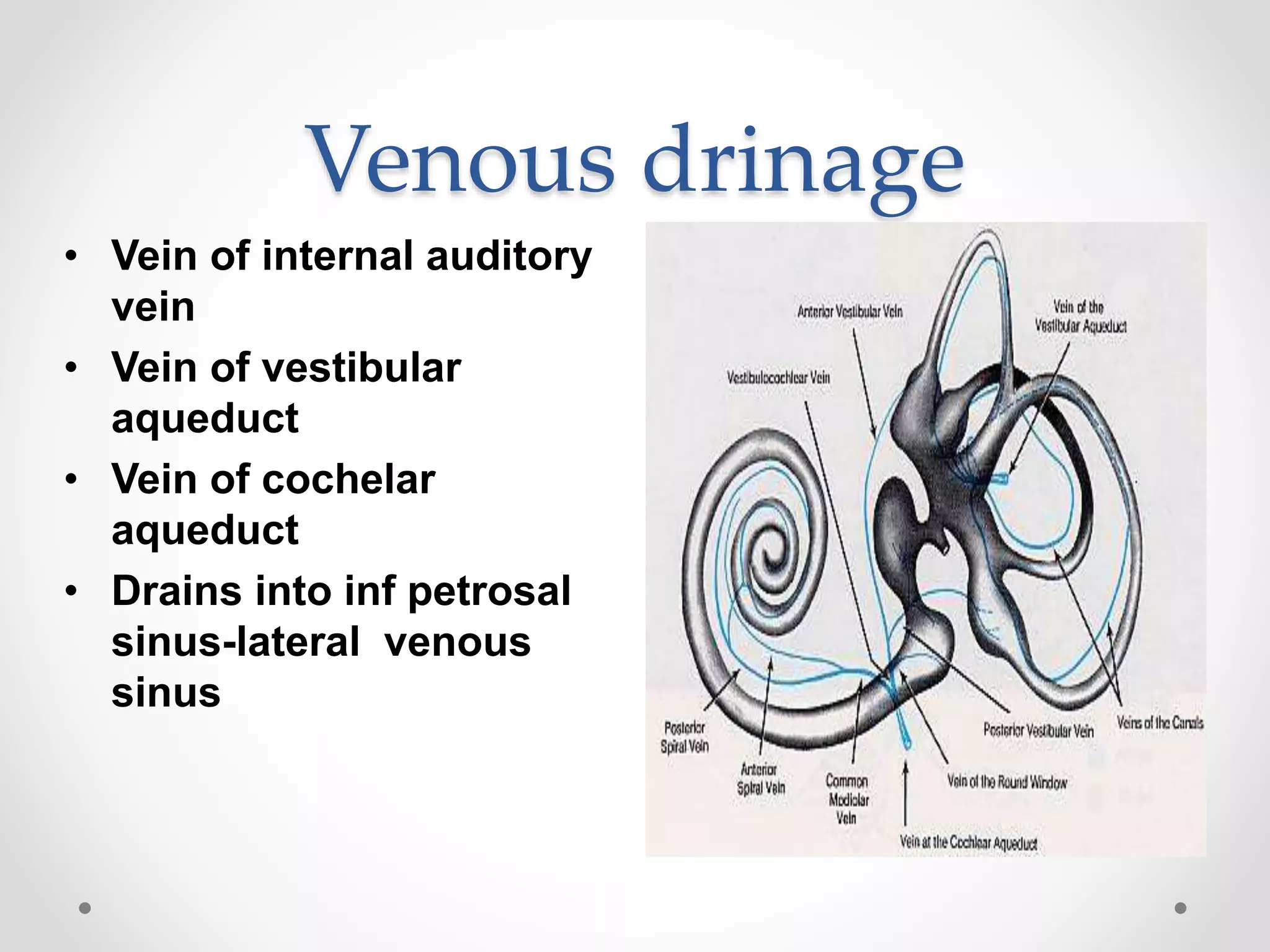 Anatomy of Inner ear | PPTX