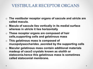 Anatomy of Inner ear | PPT
