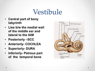Anatomy of Inner ear | PPTX