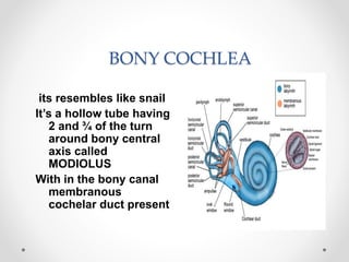 Anatomy of Inner ear | PPT