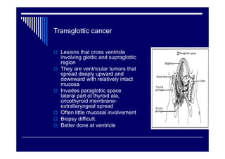 Anatomy-of-larynx-&-its-relevance-in-pathways.pdf