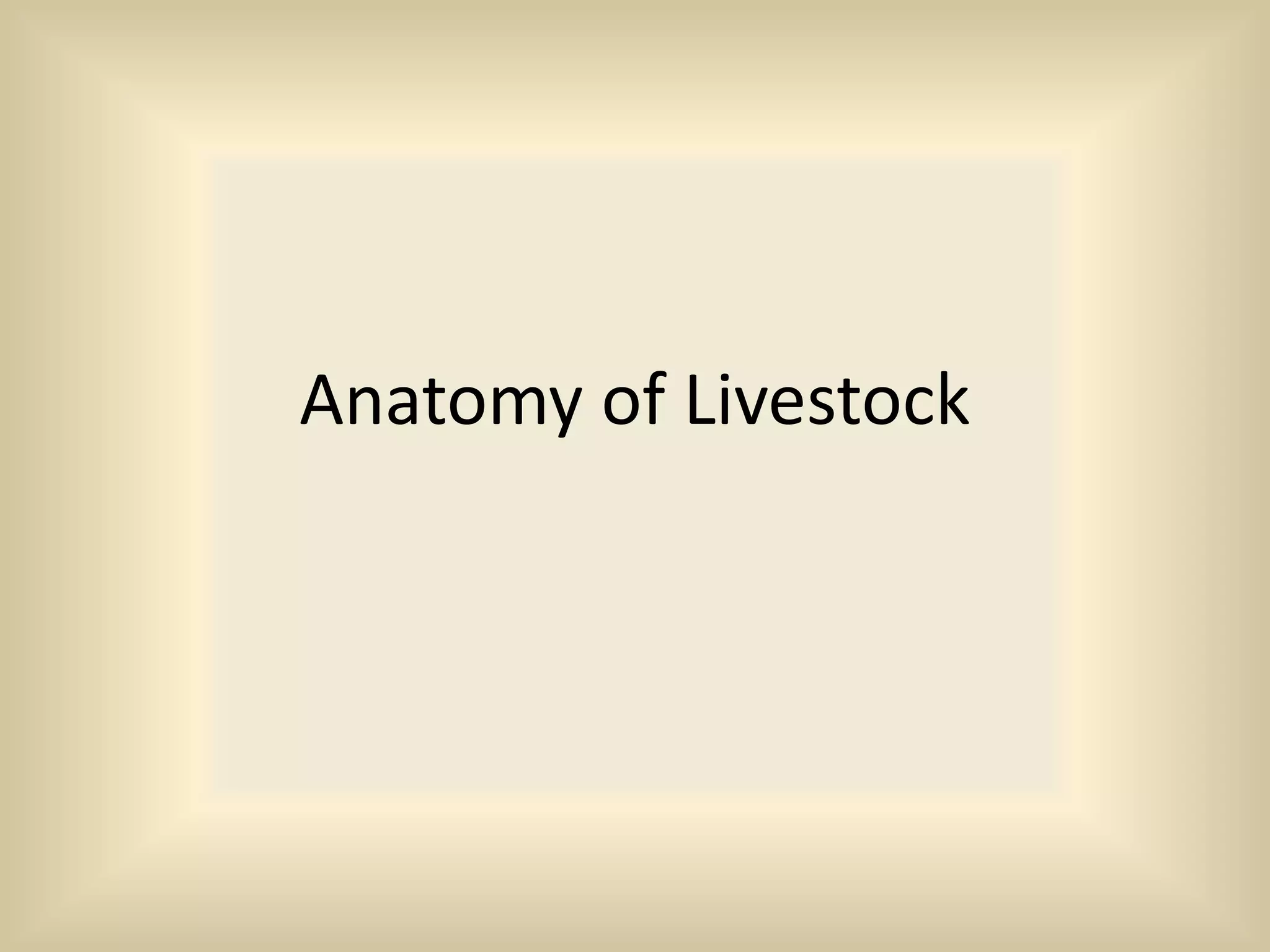 Anatomy-of-Livestock.pptx