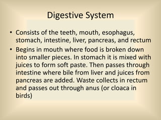 Anatomy-of-Livestock.pptx