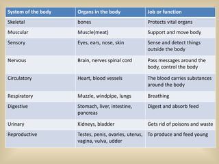 Anatomy-of-Livestock.pptx