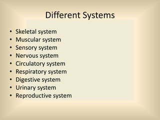 Anatomy-of-Livestock.pptx