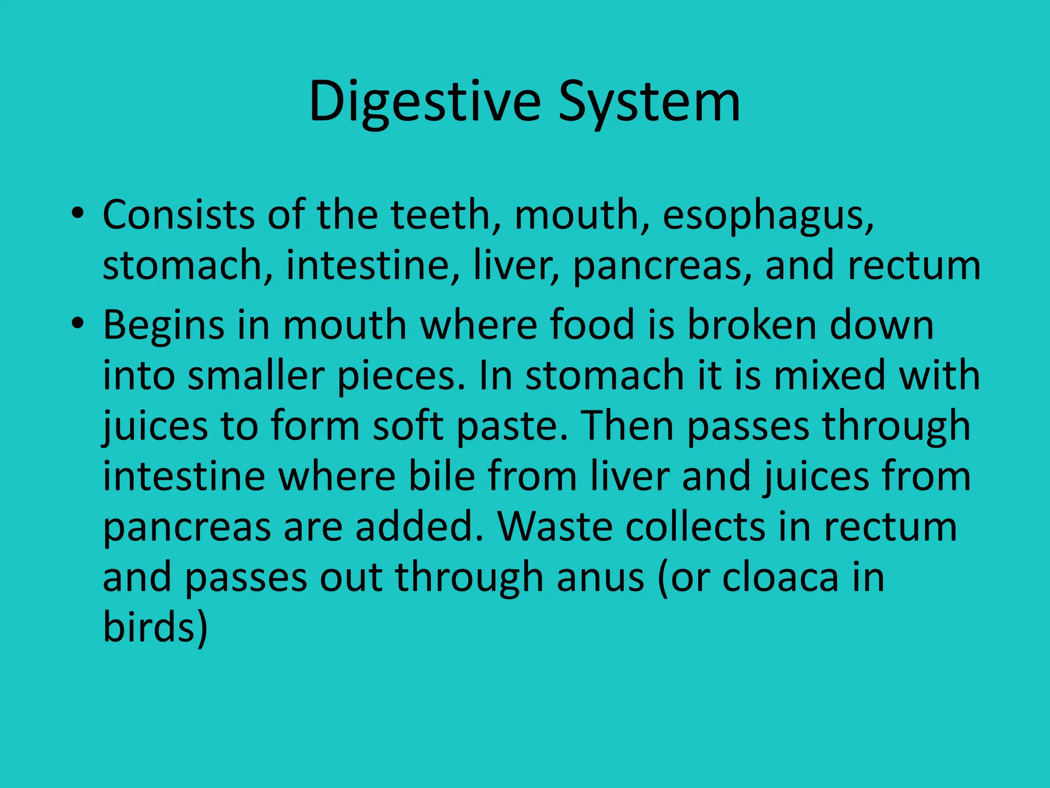 Anatomy-of-Livestock and Internal Structures for animal systems | PDF