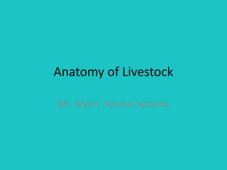 Anatomy-of-Livestock and Internal Structures for animal systems | PDF